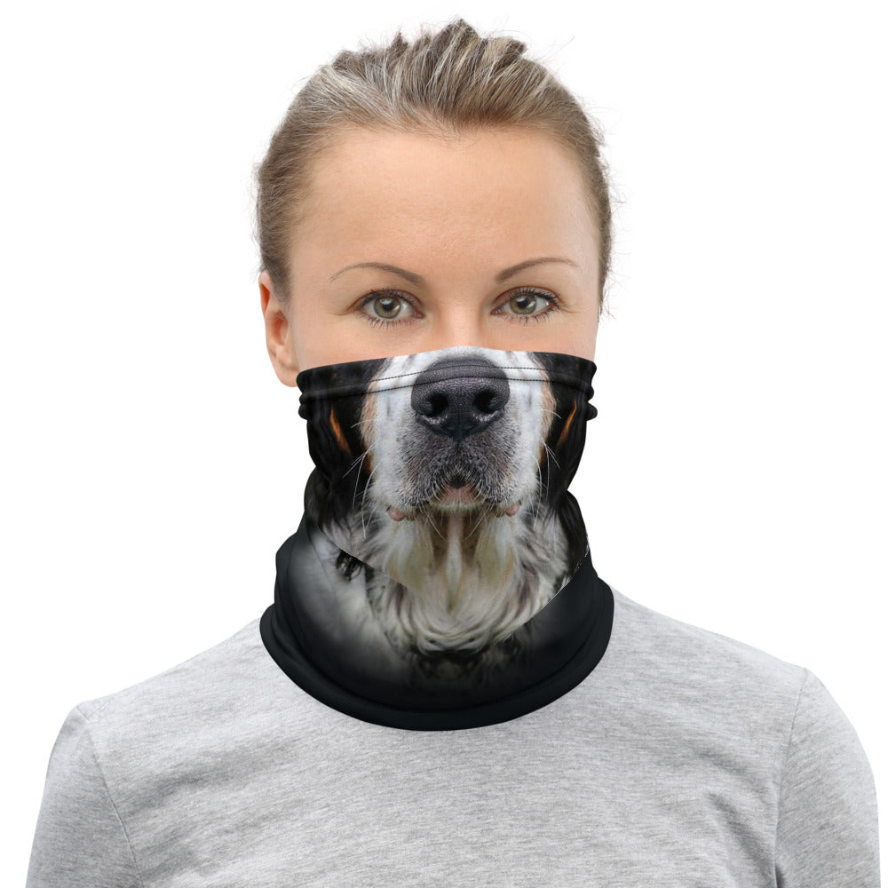 English Setter Face Cover Neck Gaiter – CRAFIC